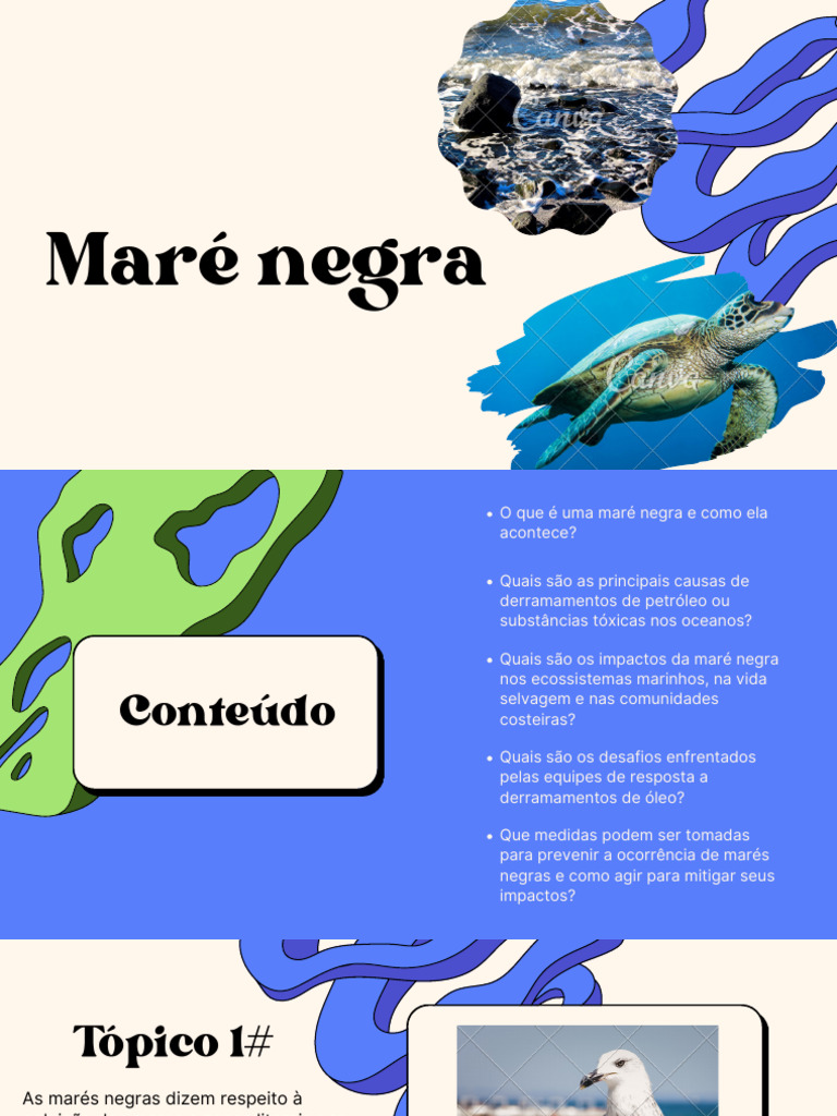 Causas e Impactos da Maré Negra | PDF