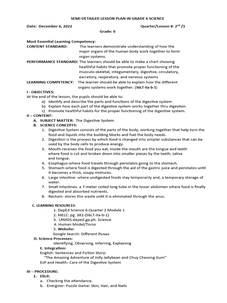 Digestive System Lesson Plan | PDF | Human Digestive System | Digestion