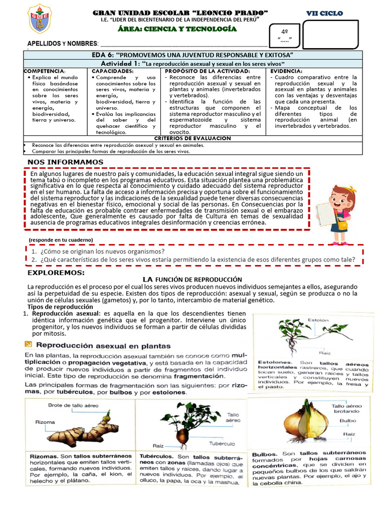 4º - CYT 1-EDA 6 - FICHA - Reproduccion en Animales y Plantas | PDF ...