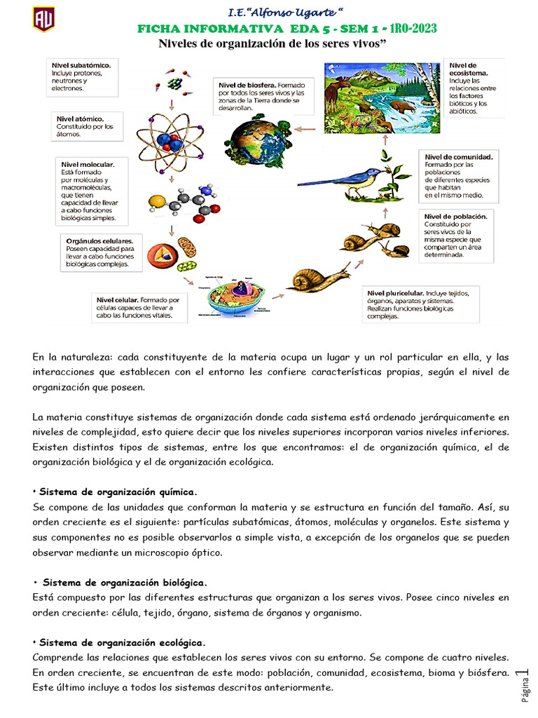 EDA 05 - Sesión 01 Ficha Informativa - Los Niveles de Organización de Los Seres Vivos. 2023 AU ...