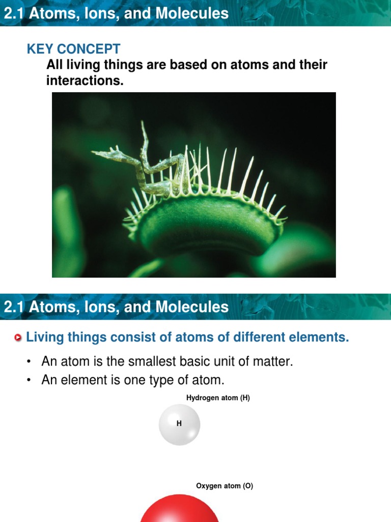Atoms, Ions, and Molecules Explained | PDF | Art