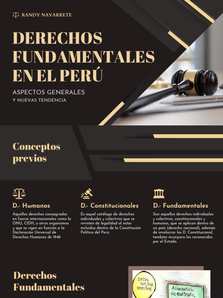 Derechos Fundamentales en El Perú. Aspectos Generales y Nuevas ...