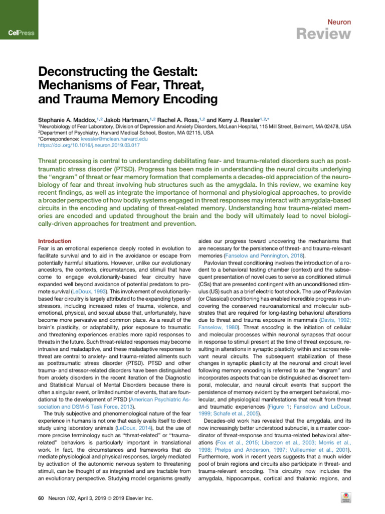 Deconstructing The Gestalt. Trauma | PDF