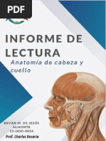 Anatomía y Fisiología Anorrectal | PDF | Recto | Sistema digestivo