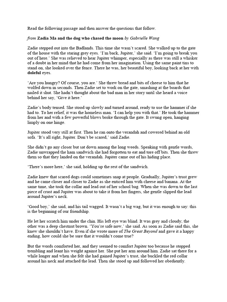 SS ReadingComprehension PracticePaper | PDF