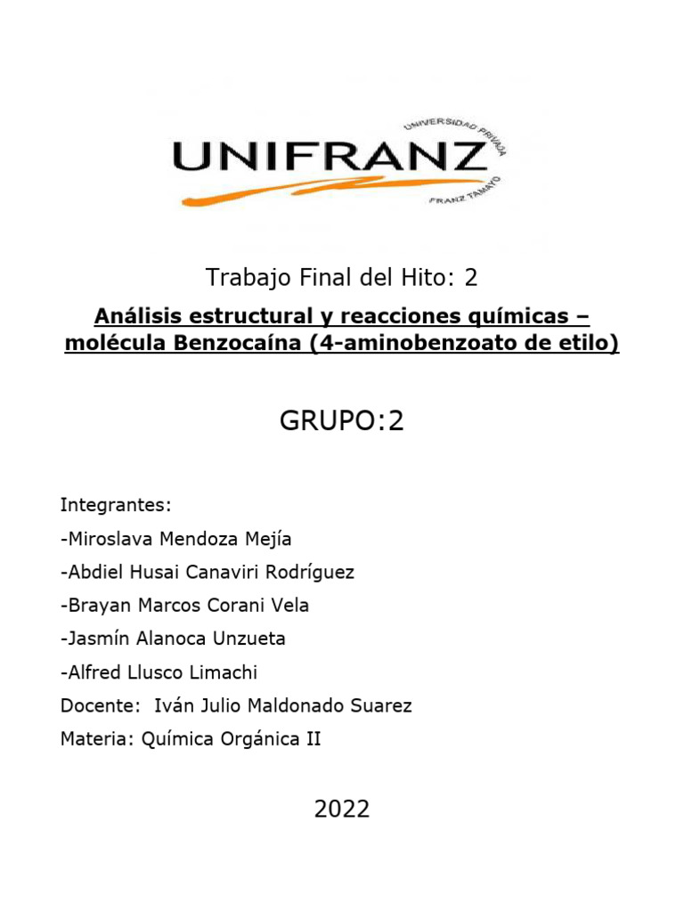 Trabajo Final de Hito 2 | PDF