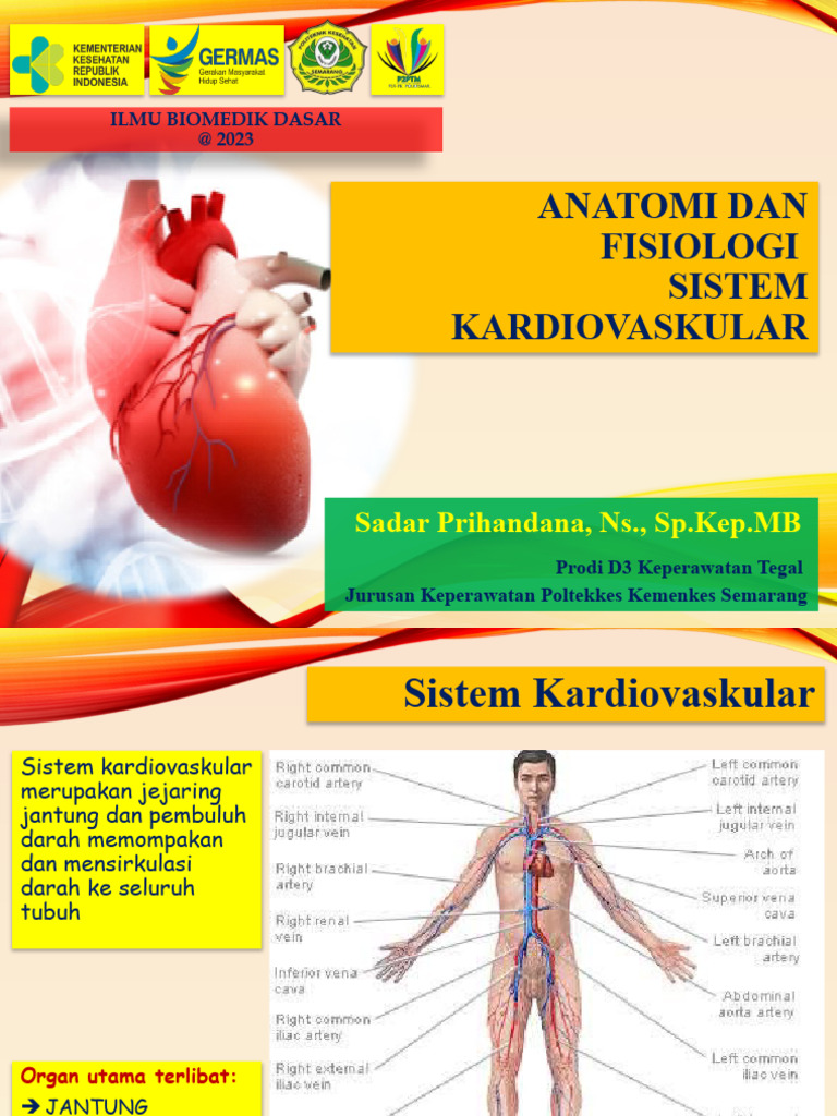 Anfis Kardiovaskular 2023 | PDF