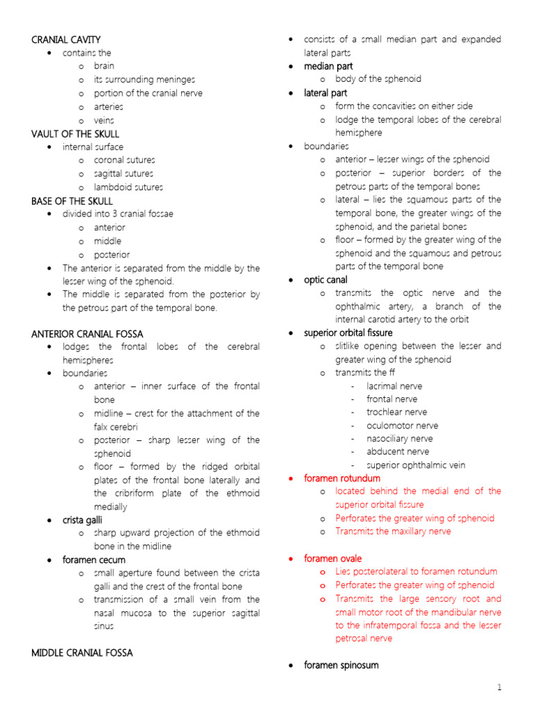 ANATOMY Lec 1.1 Cranial Cavity Dr. Singco | PDF