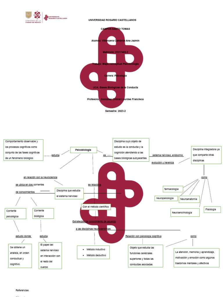 Mapa Conceptual de La Psicobiología | PDF | Neurociencia conductual | Sicología