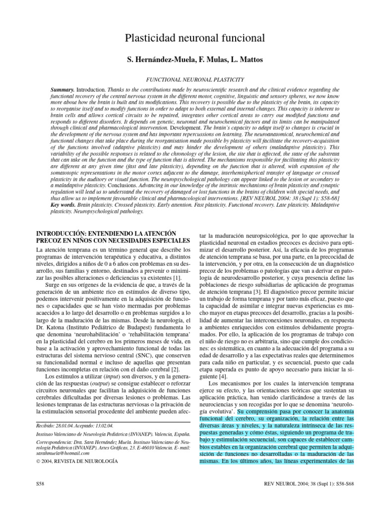 Plasticidad Neuronal Funcional | PDF