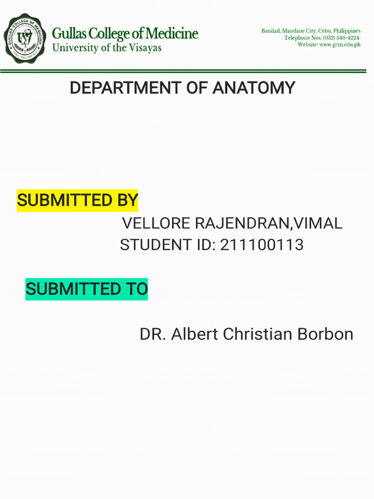 Anatomy Assignment 20 Part 2 Muscles of The Gluteal Region Laboratory ... Anatomy Assignment 20 Part 2 Muscles of The Gluteal Region Laboratory ...