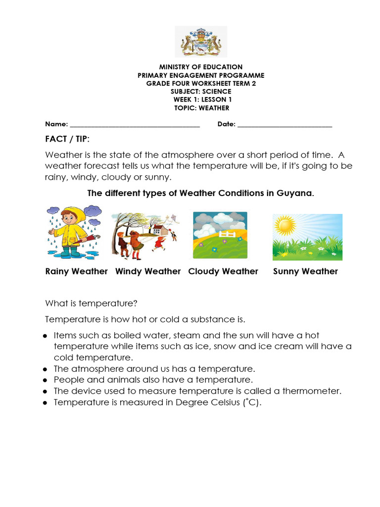 Grade 4 Science Weeks 1-4 Worksheets - Term 2 | PDF