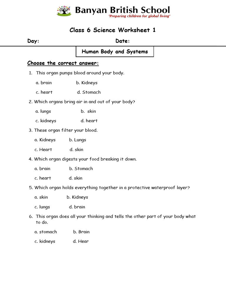 Class 6 Science Worksheet 1 | PDF