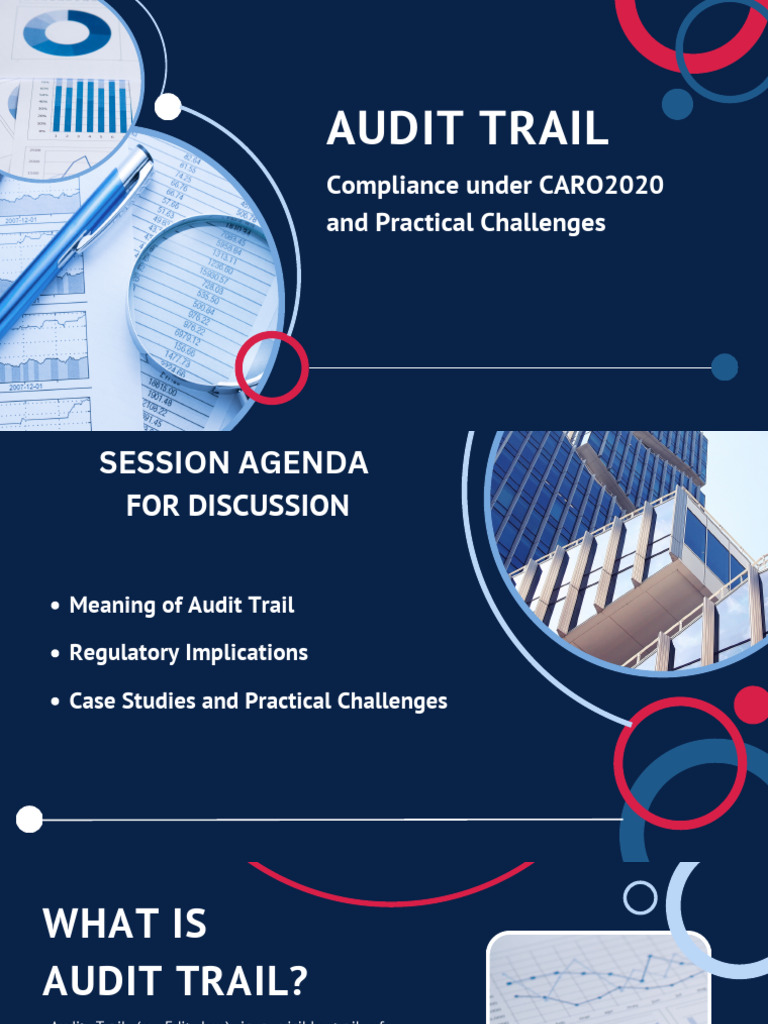 Audit Trail Way Forward For Auditors and Professionals | PDF