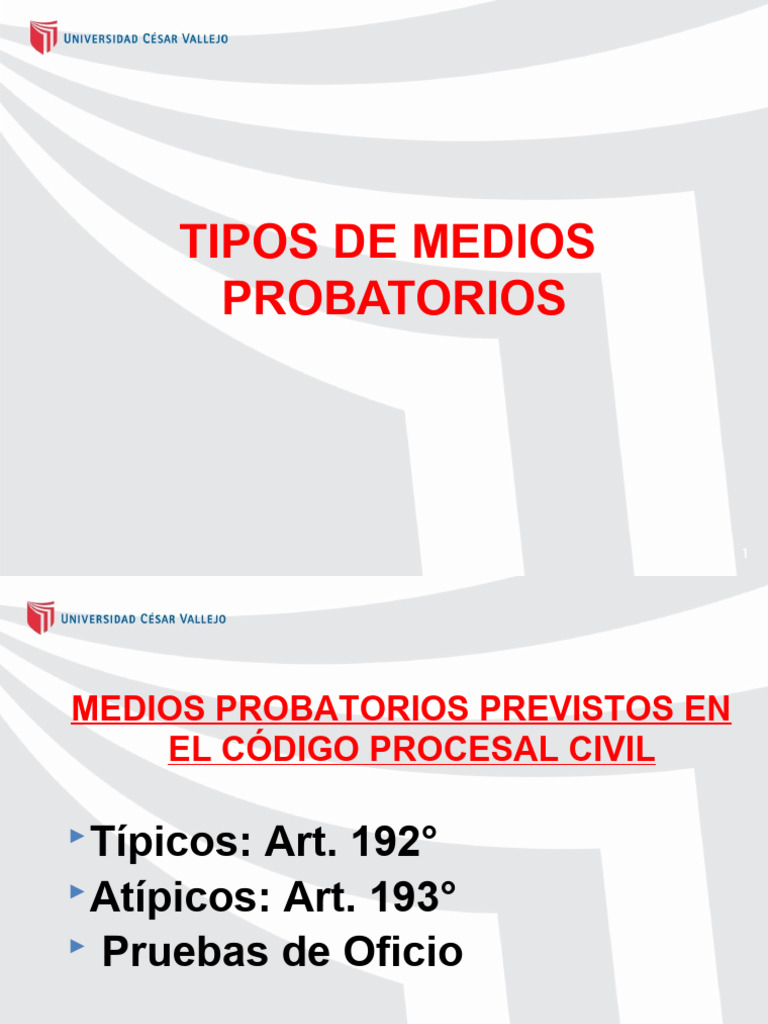 Tipos de Medios Probatorios | PDF | Instituciones gubernamentales ...