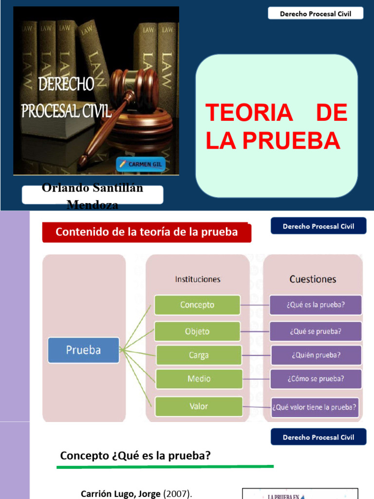 Teoría de La Prueba | PDF | Evidencia (ley) | Ley procesal