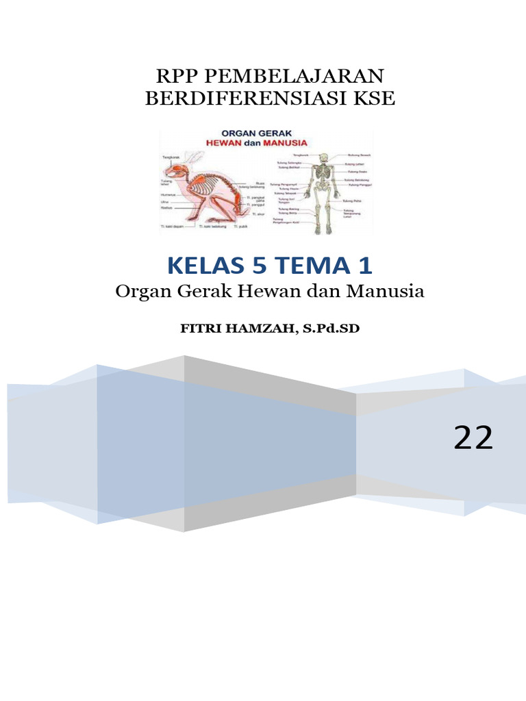 RPP Berdiferensiasi KSE | PDF | Karier & Perkembangan