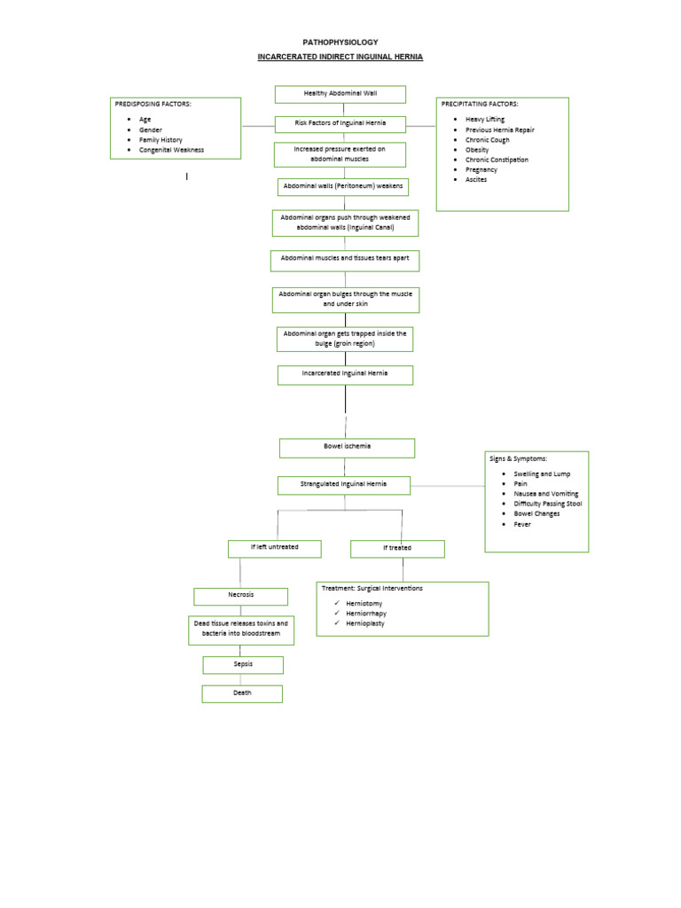 Pathophysiology Hernia | PDF | Diseases And Disorders | Medical Specialties