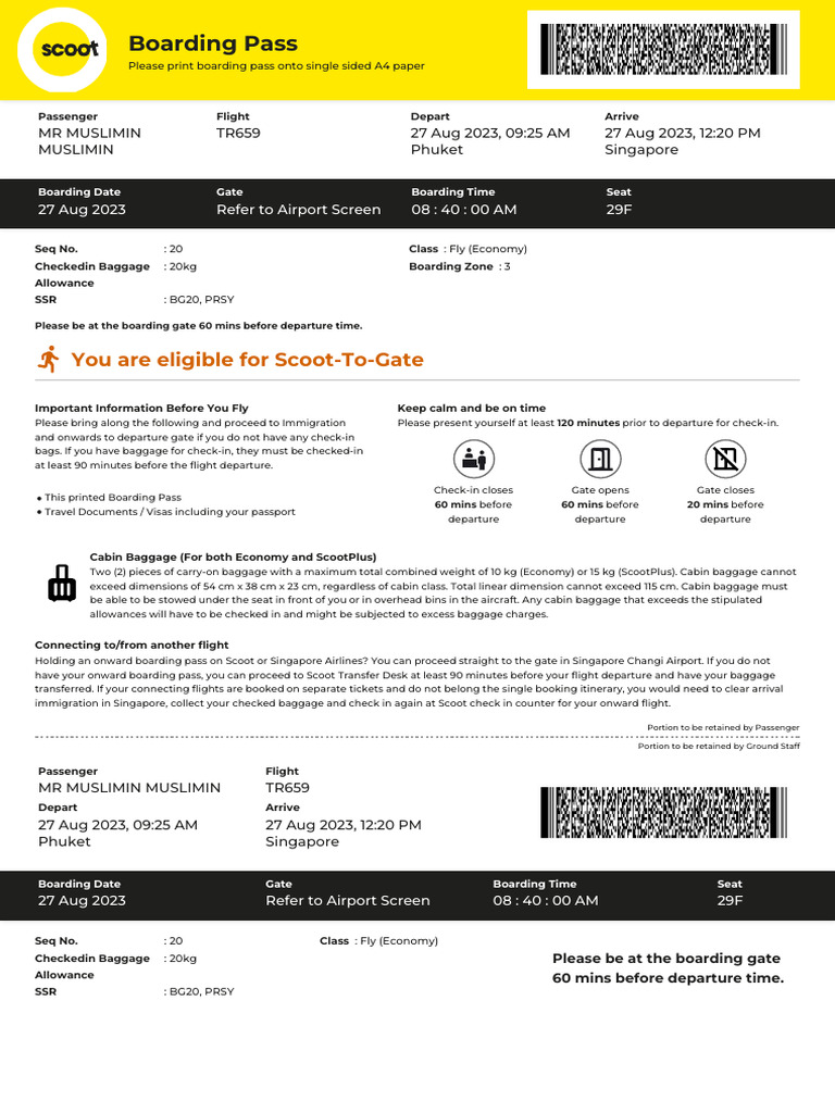 Boarding Pass 1 | PDF