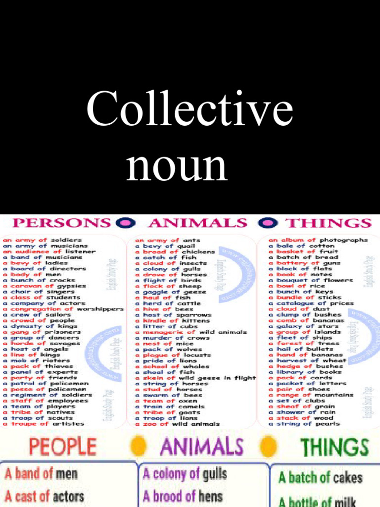 Collective Noun | PDF