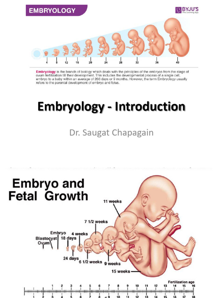 Embryology - Introduction | PDF
