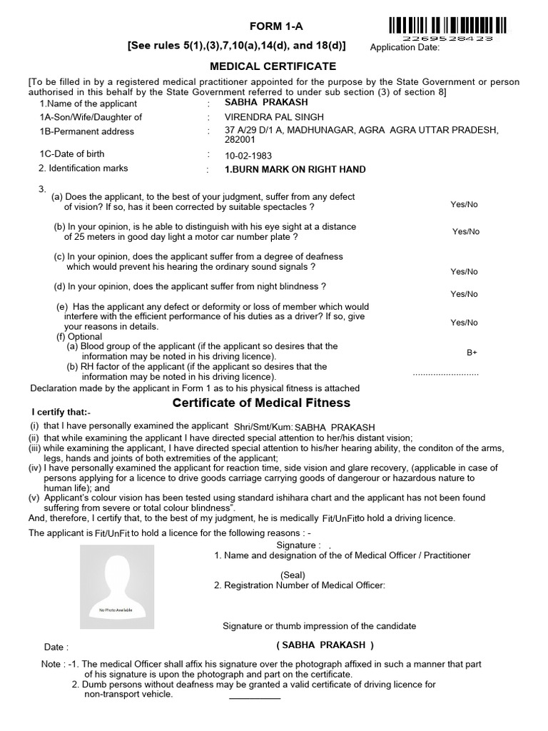 PDF Form 1 | PDF | Driver's License