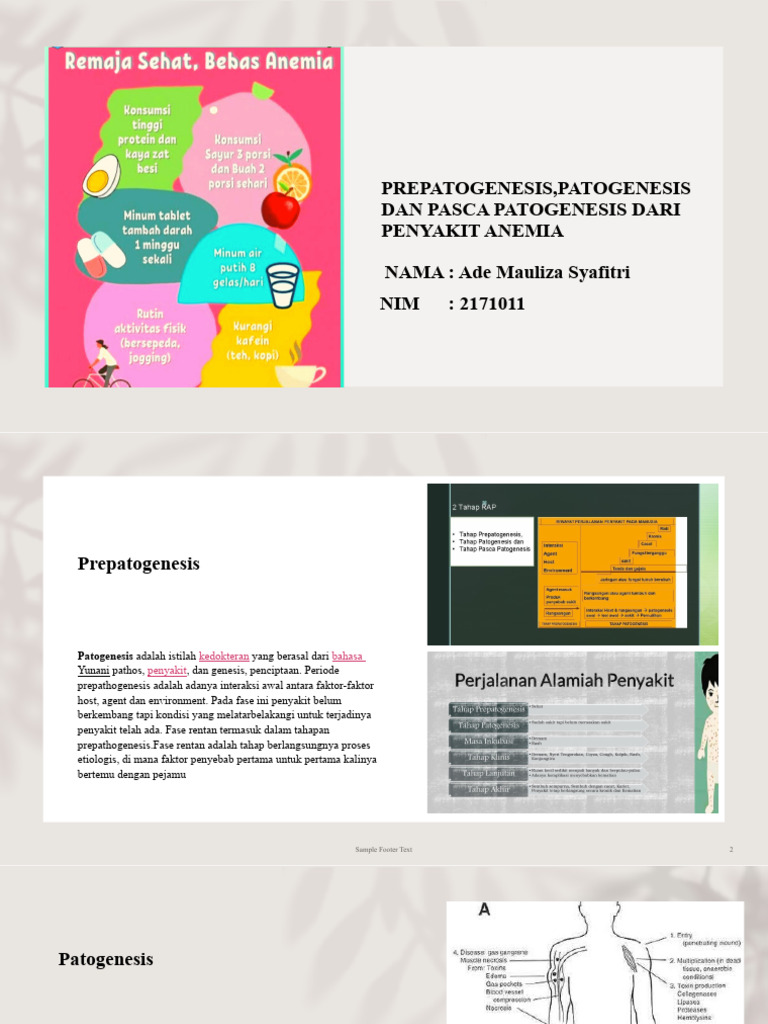 Dappled Design | PDF