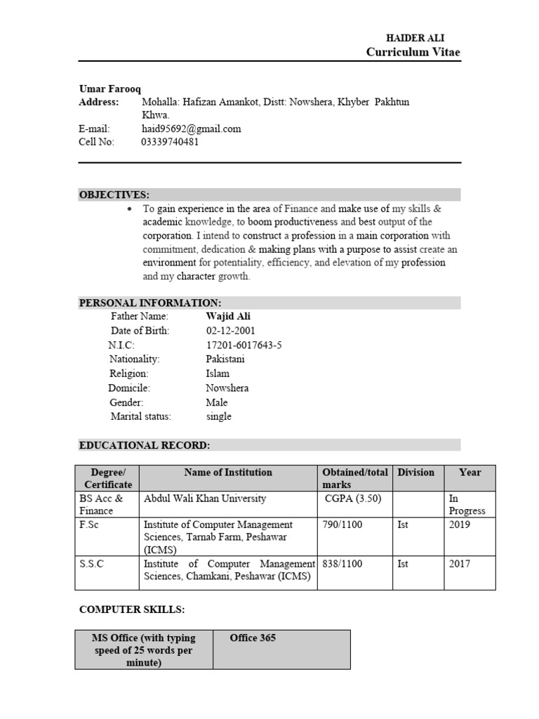 Haider Ali CV | PDF