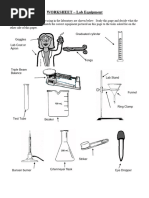Science Process Skills Worksheet | PDF | Observation | Science
