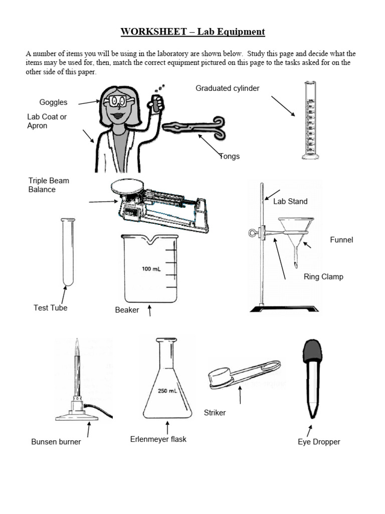 Grade 5 Lab Review Worksheet | PDF | Laboratories | Litre