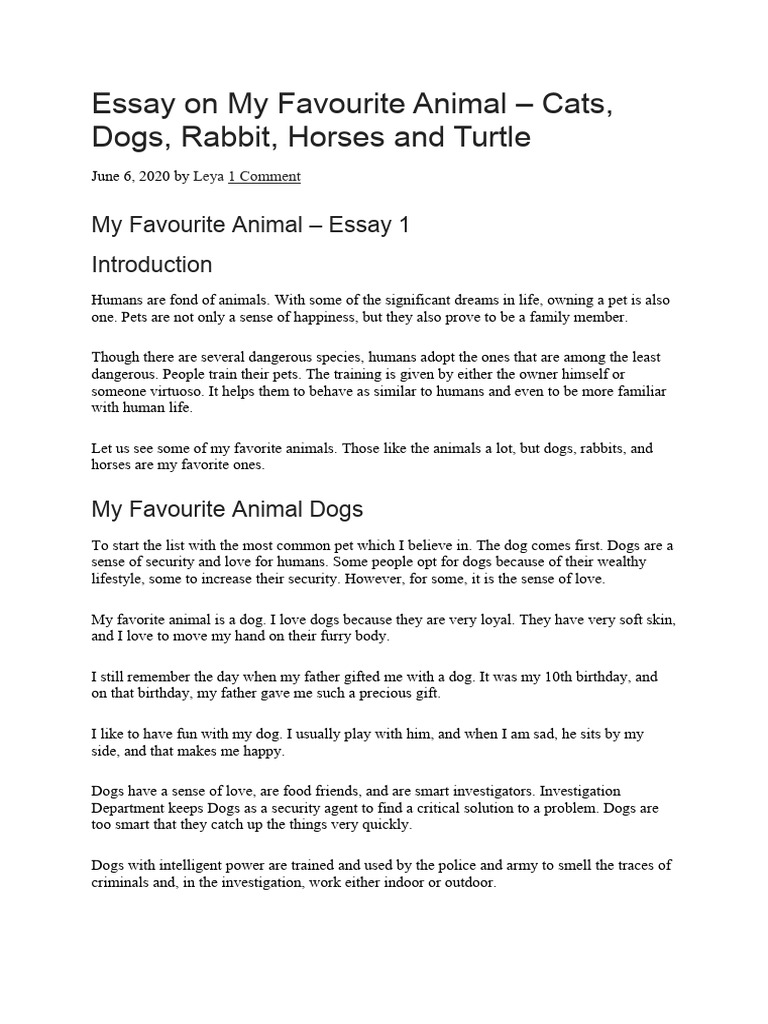 Essay On My Favourite Animal | PDF | Pet | Horses