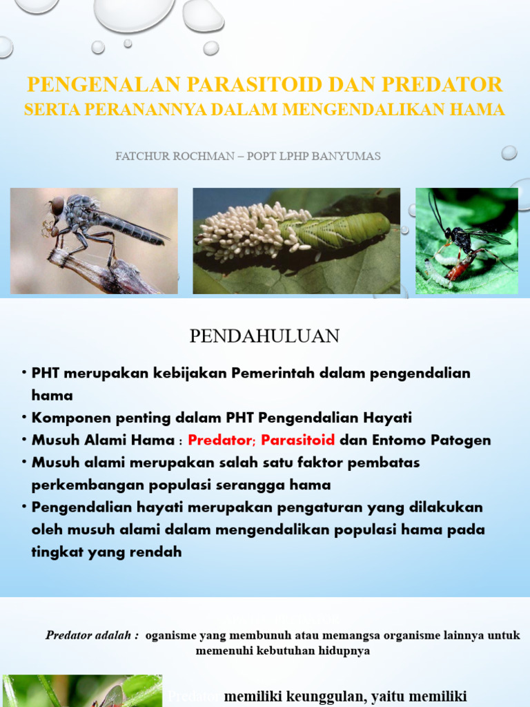 Peran Parasitoid dan Predator Hama | PDF