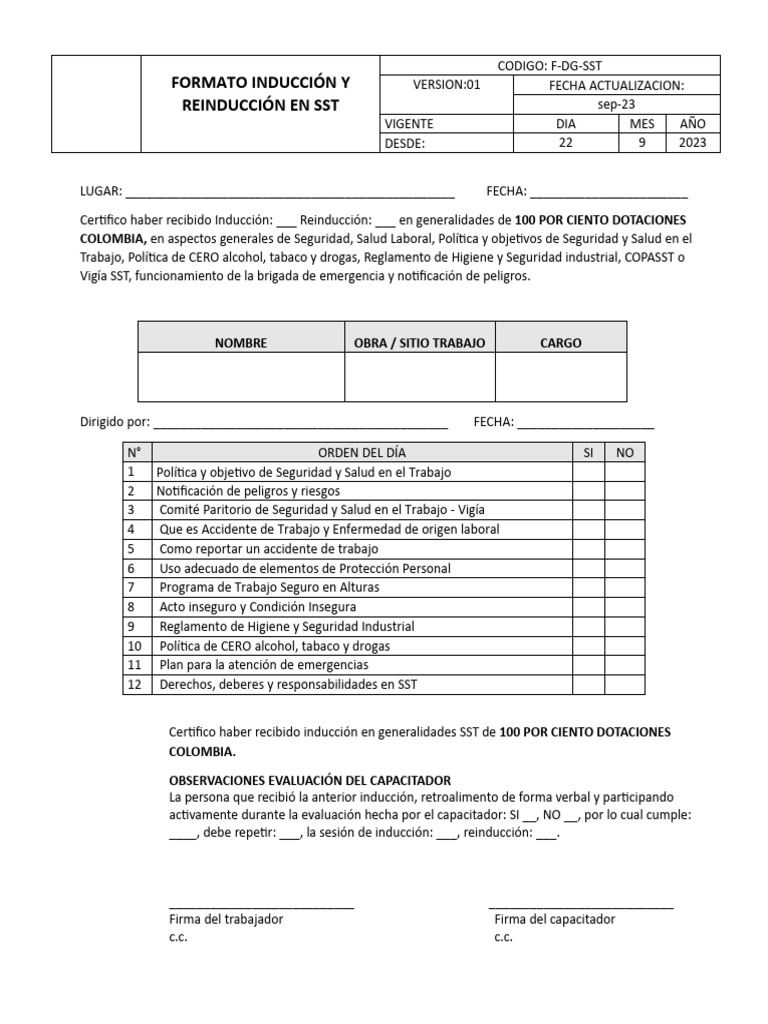 FORMATO INDUCCIÓN Y REINDUCCIÓN EN SST | PDF | Salud pública