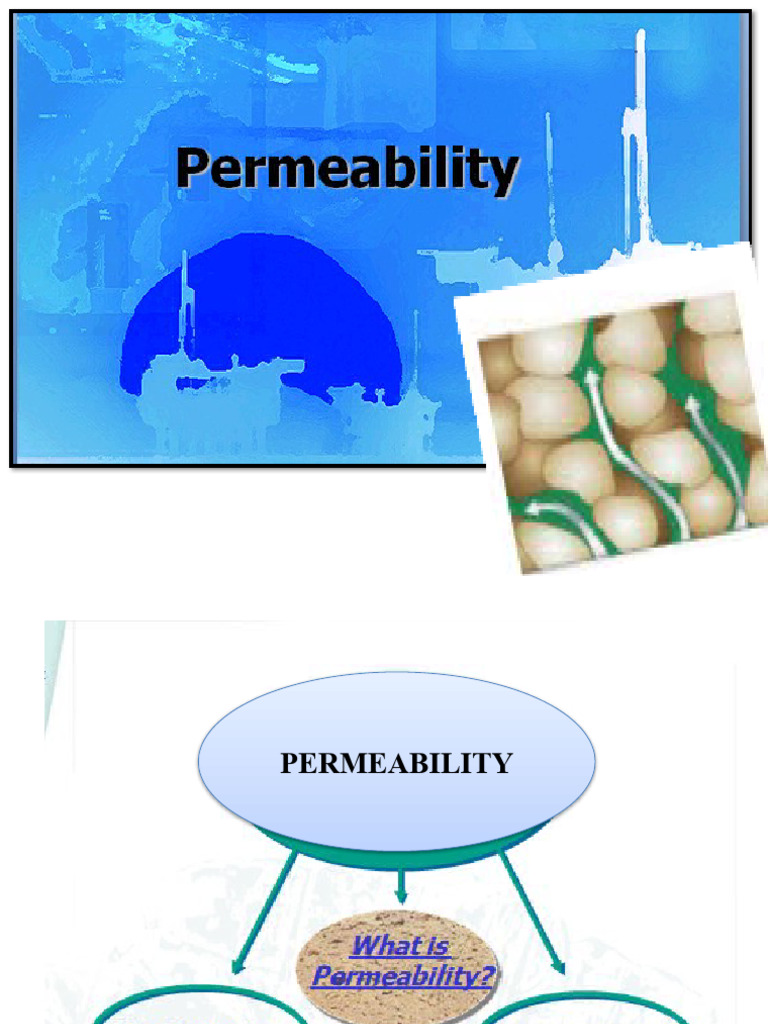 CH 5 Permeability Final | PDF