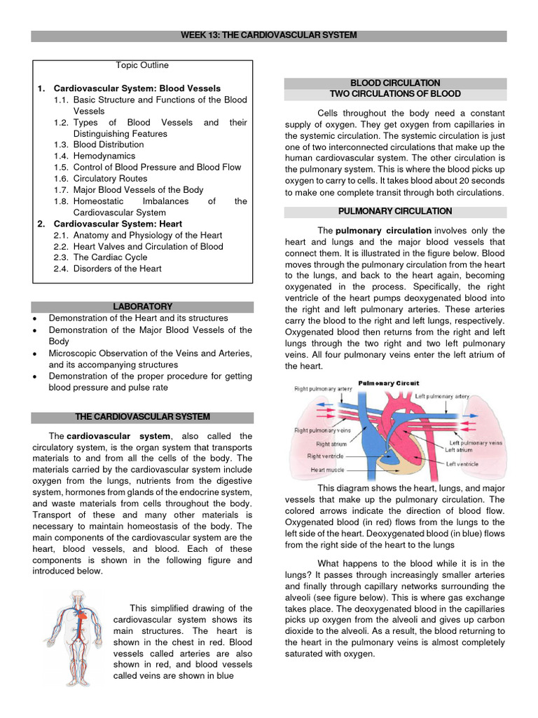 Happ 111 Finals | PDF