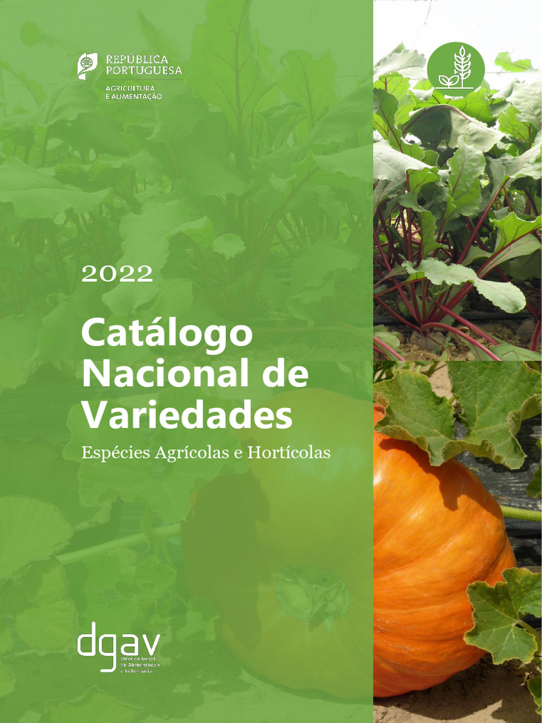 Dgav CNV 2022 | PDF