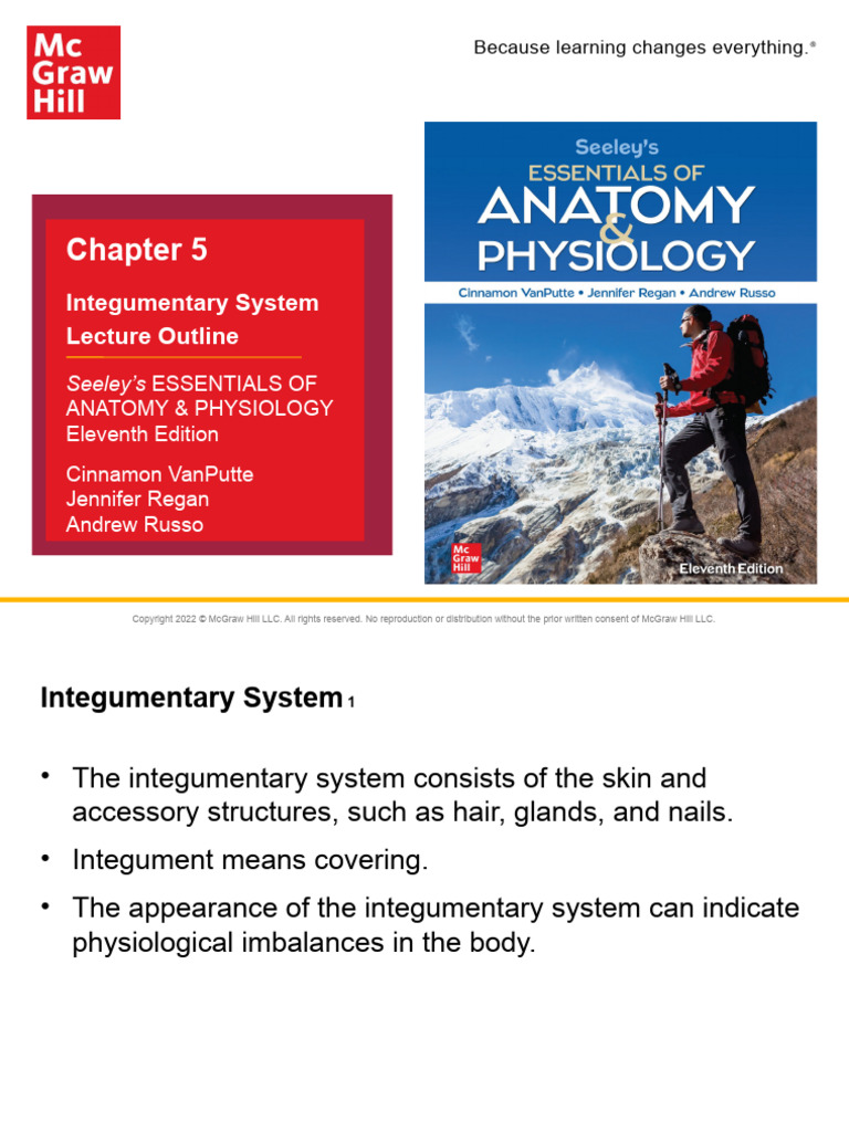 VanPutte Seeleys Essentials 11e Chap05 PPT Accessible | PDF | Skin | Epithelium
