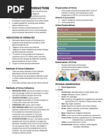 Normal Urine Routine Examination Report | PDF | Urine | Kidney