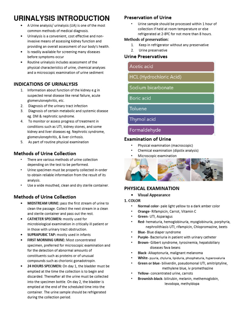 URINALYSIS | PDF | Urine | Urinary Tract Infection