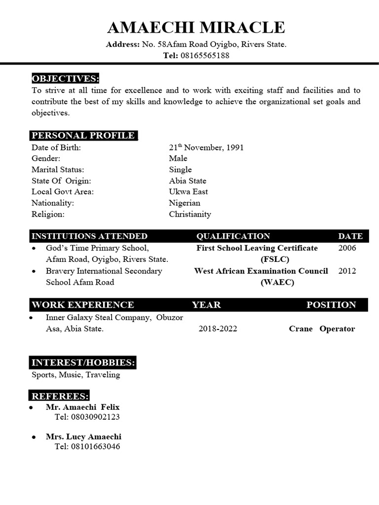 Amaechi Miracle: CV and Profile Summary | PDF