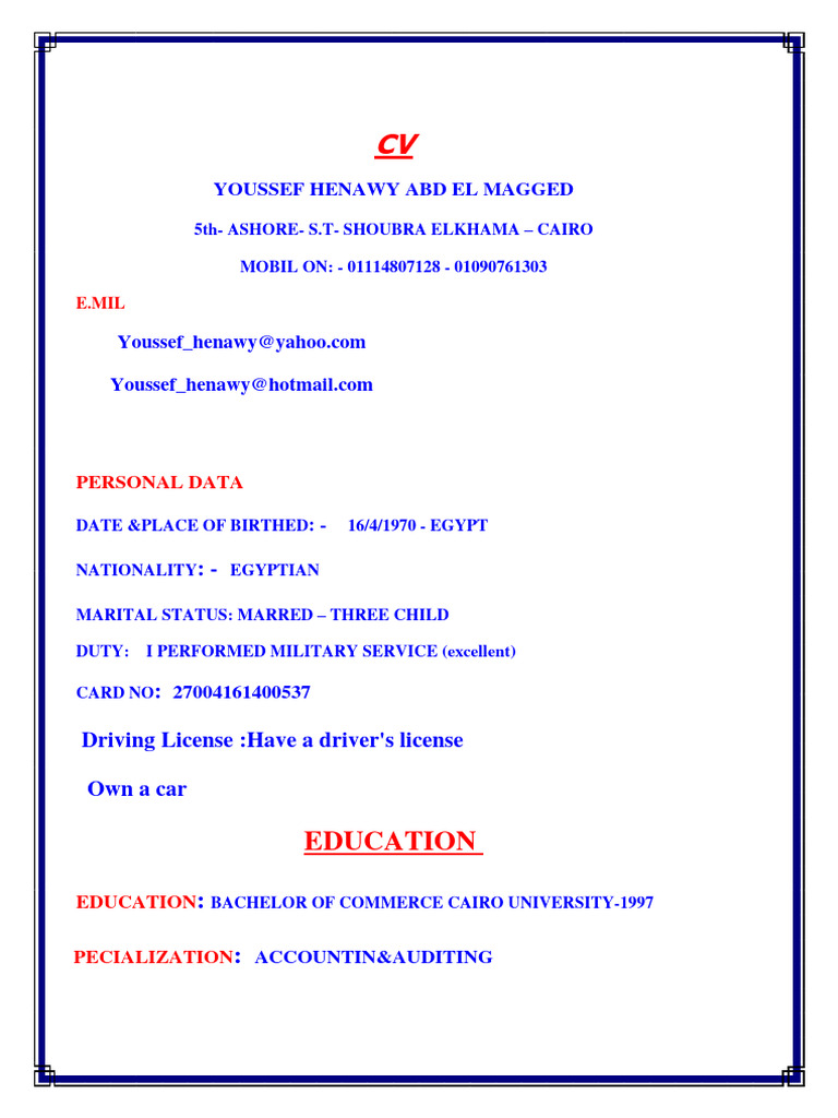 Youssef Henawy CV | PDF