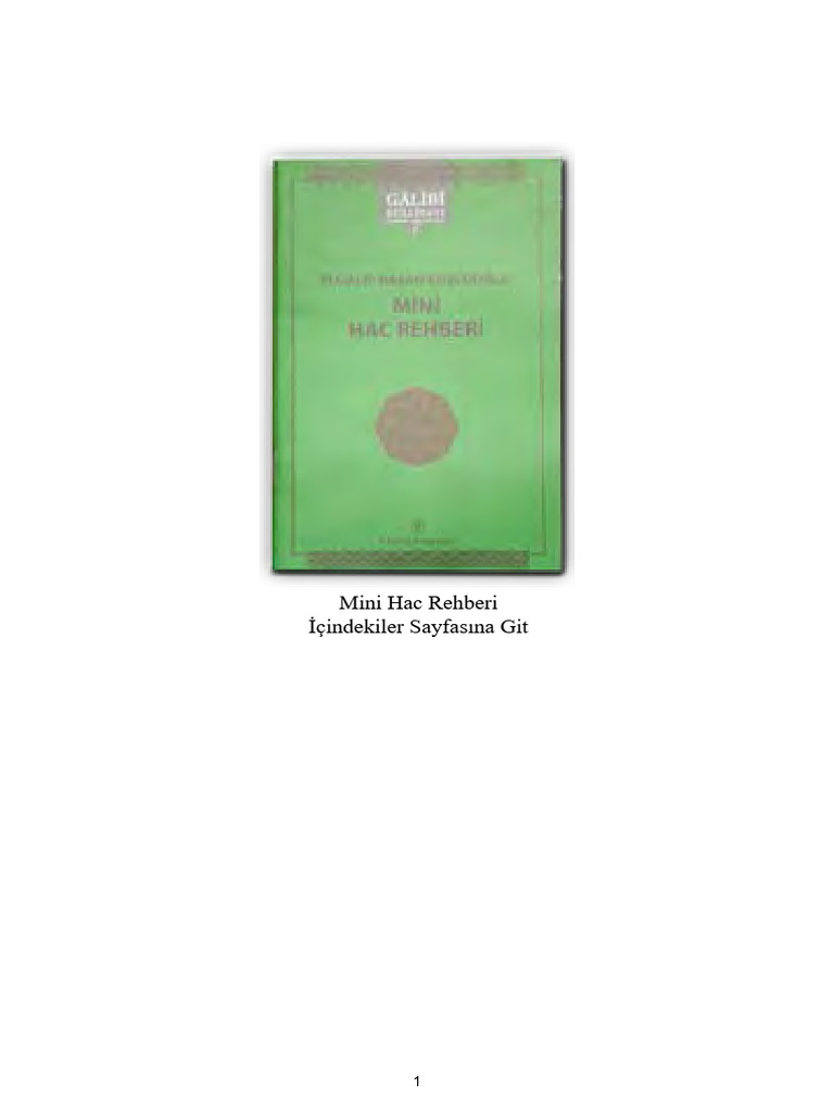 Mini Hac Rehberi | PDF