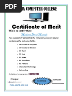 Basic Computer Certificate | PDF
