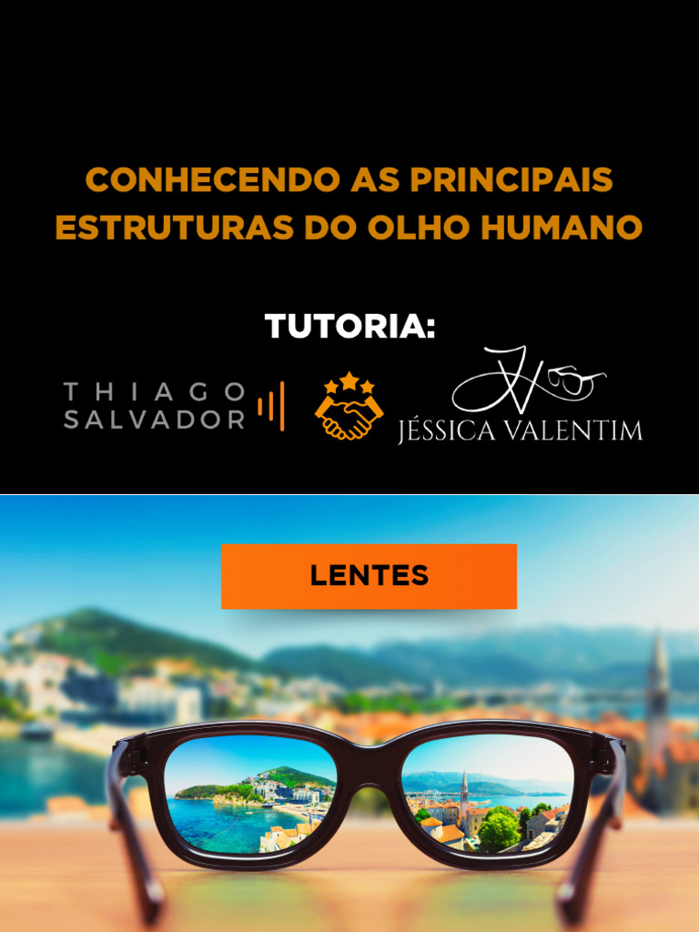Thiago Salvador e Jéssica Valentim AULA 3 | PDF | Ótica | Eletromagnetismo