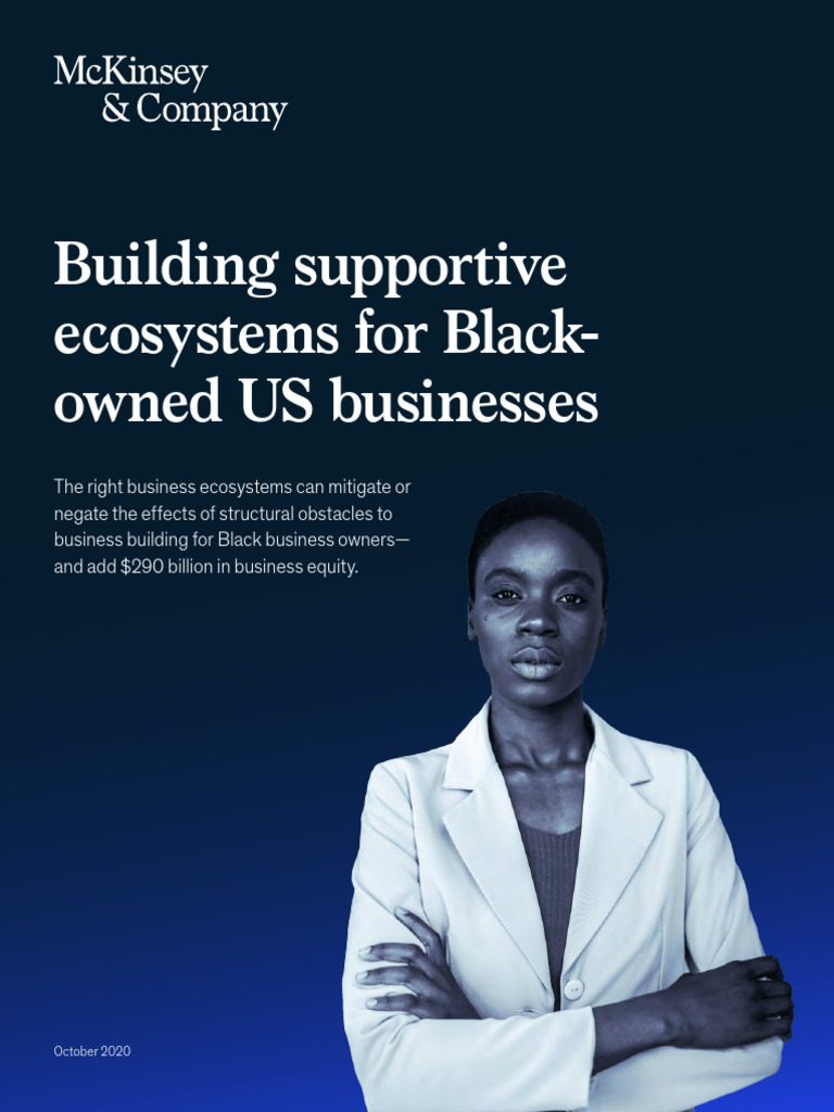 McKINSEY Report On Black Owned Businesses | Download Free PDF ...