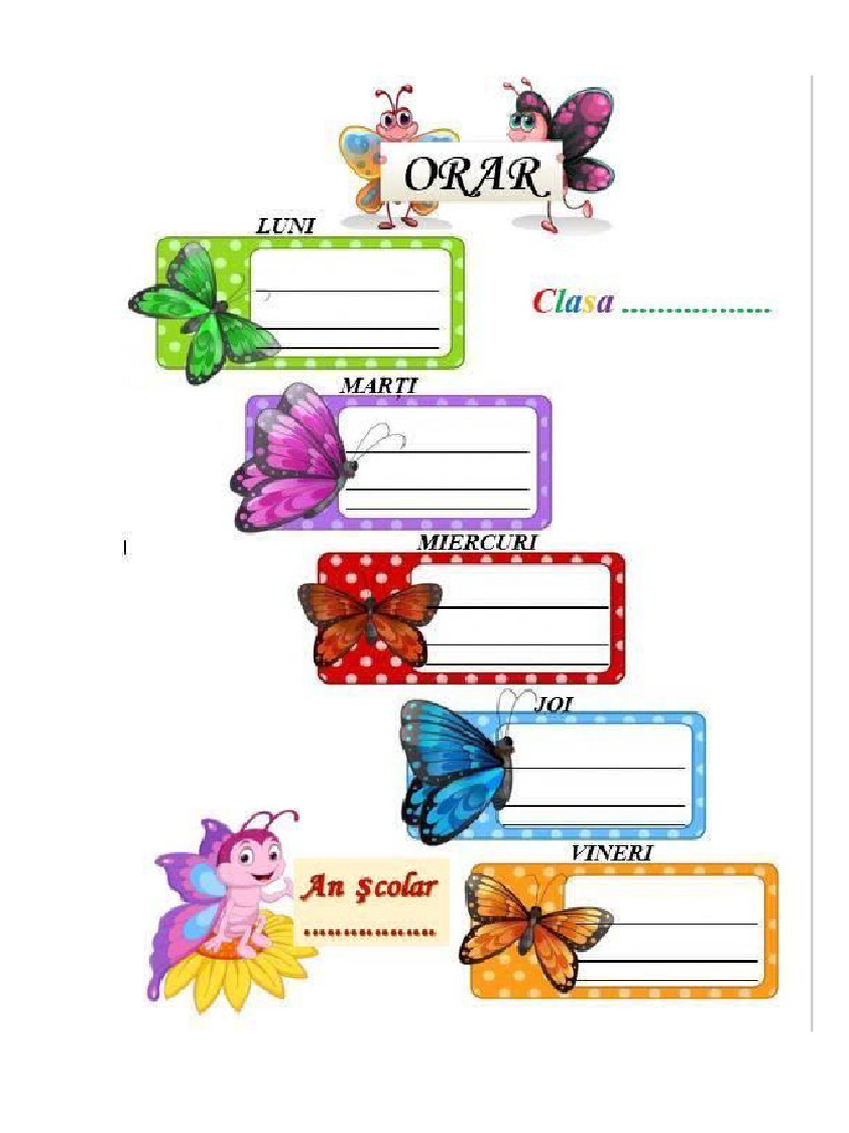 Orar Fluturi | PDF