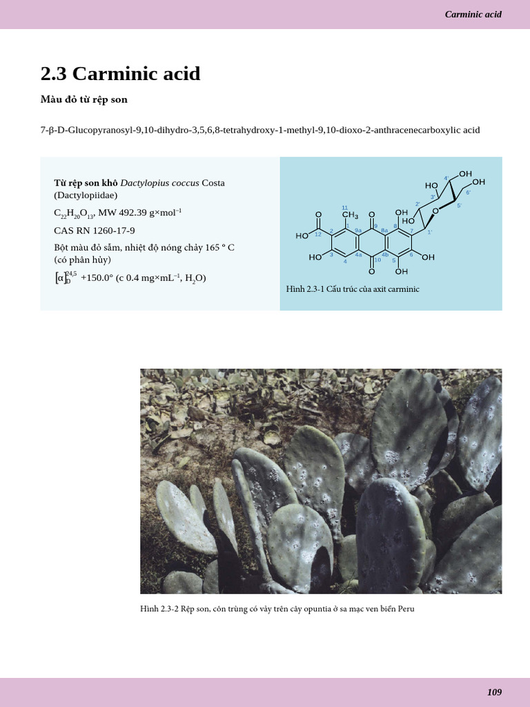 2.3 Carminic Acid | PDF