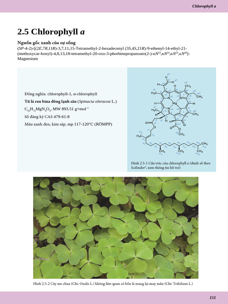 2.5 Chlorophyll A | PDF