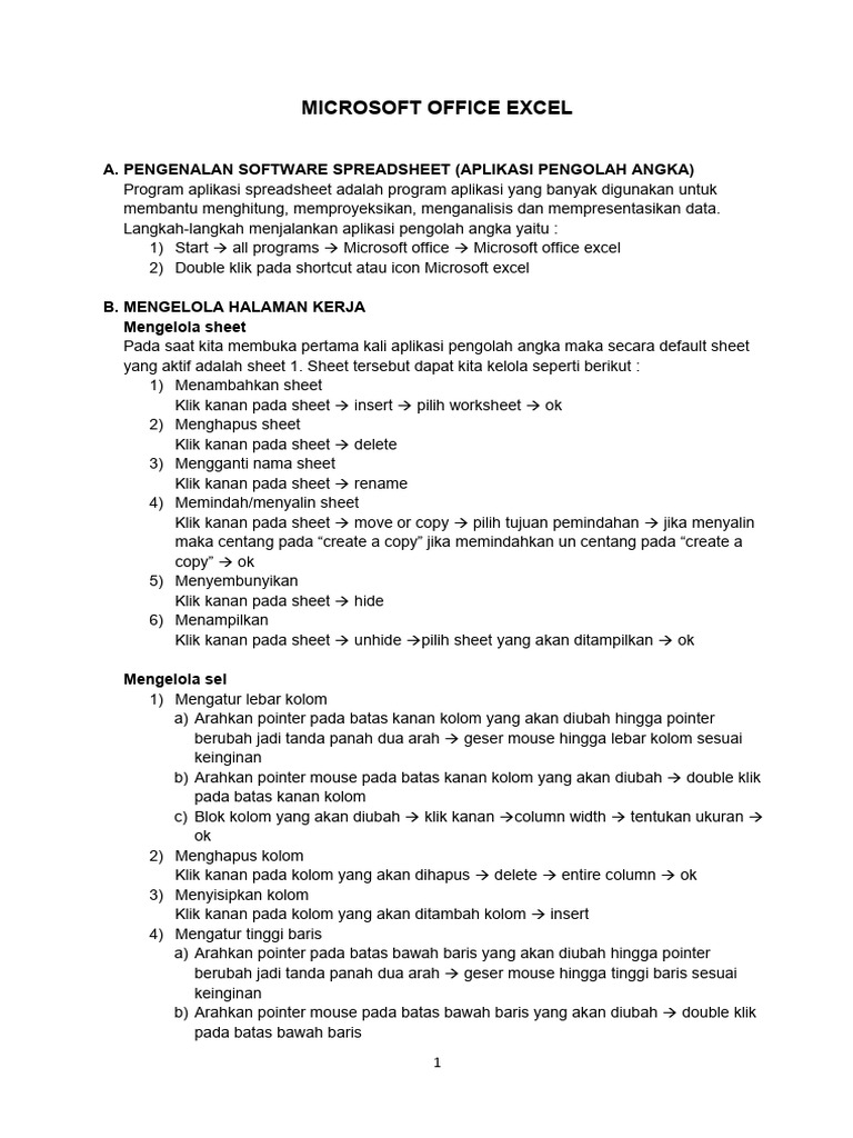 TIK Excel Siswa | PDF
