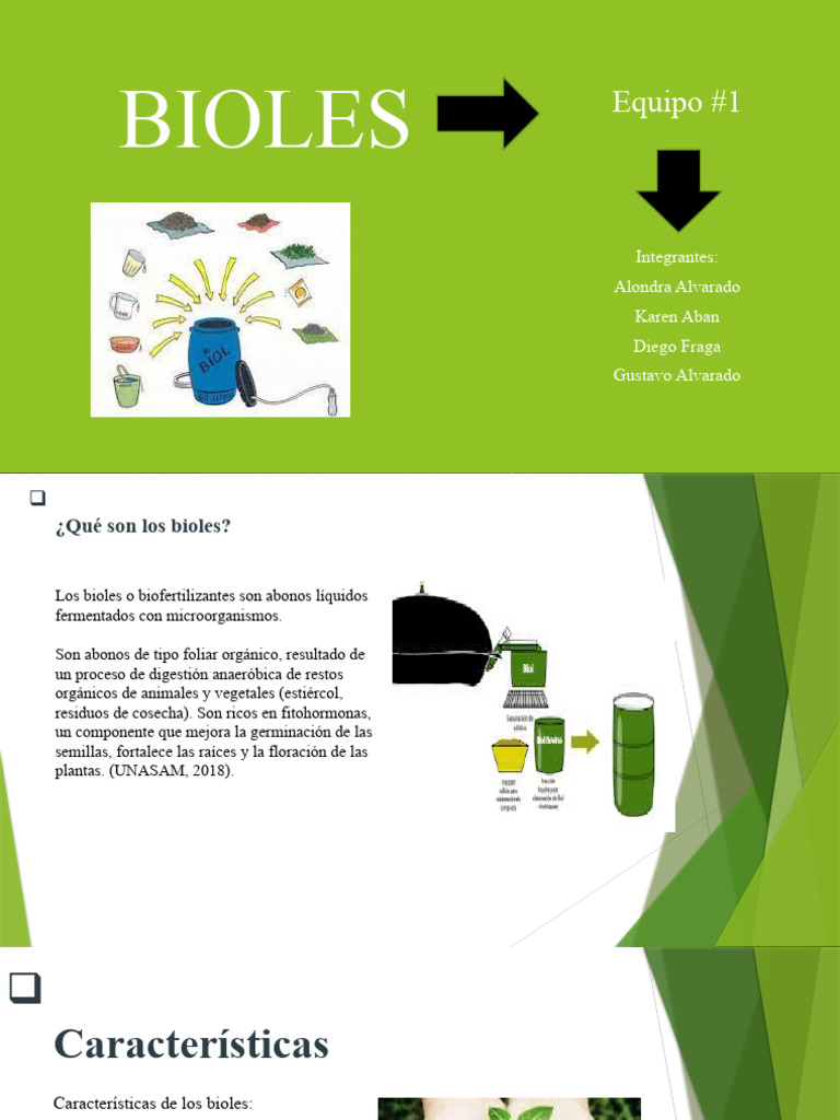 Bioles: Beneficios y Elaboración de Biofertilizantes | PDF